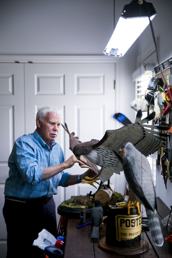 A Gift of Birds- Resident Nelson Potter Donates Art To Natural Bridge ...